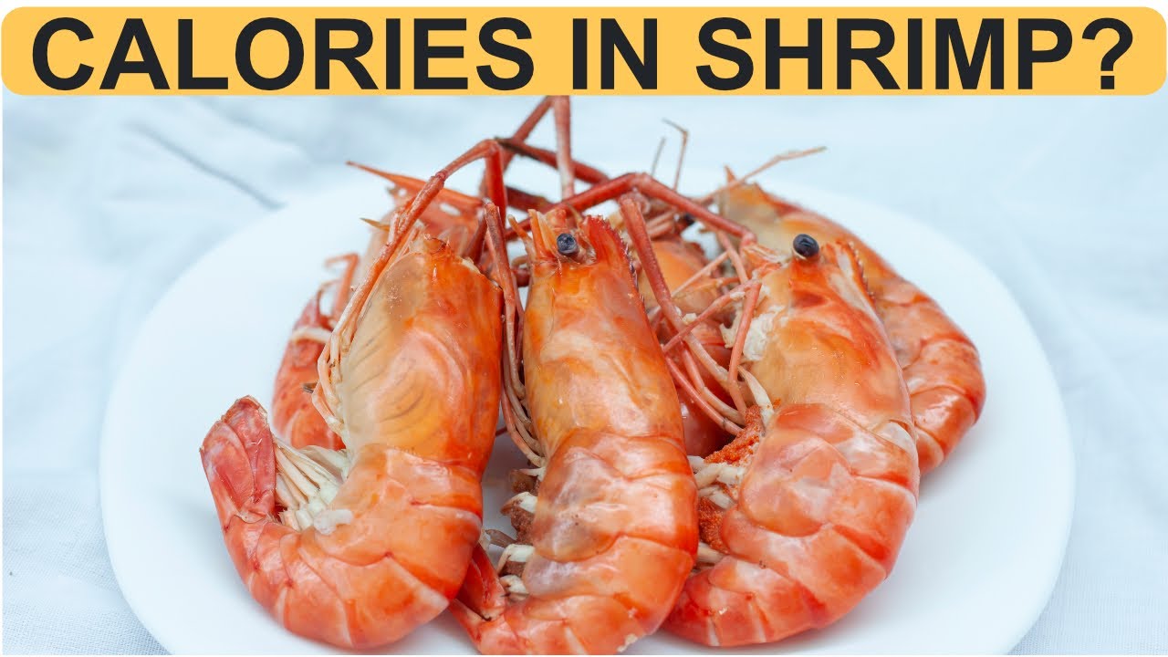 How much protein in shrimp? 20 facts you need to know!