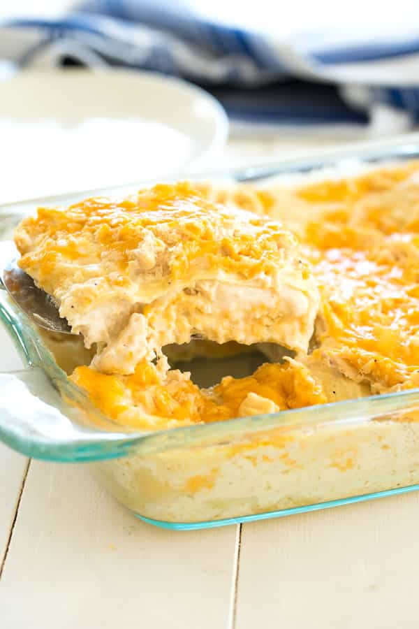 🏅 Ricetta Lasagna di pollo bianco