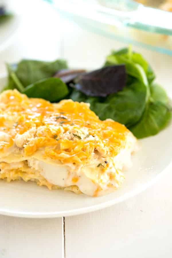🏅 Ricetta Lasagna di pollo bianco