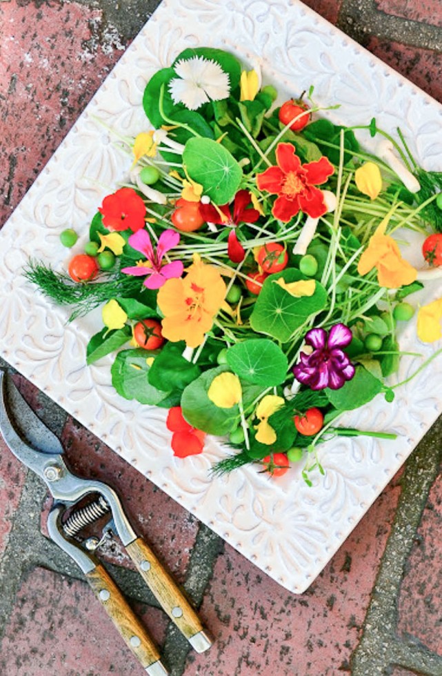 🏅 Como comer flores!