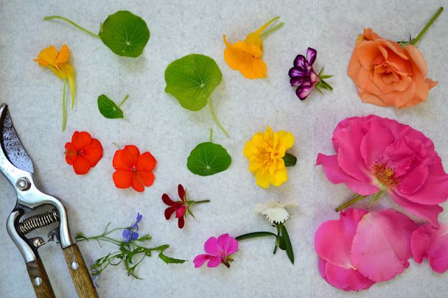 🏅 Como comer flores!