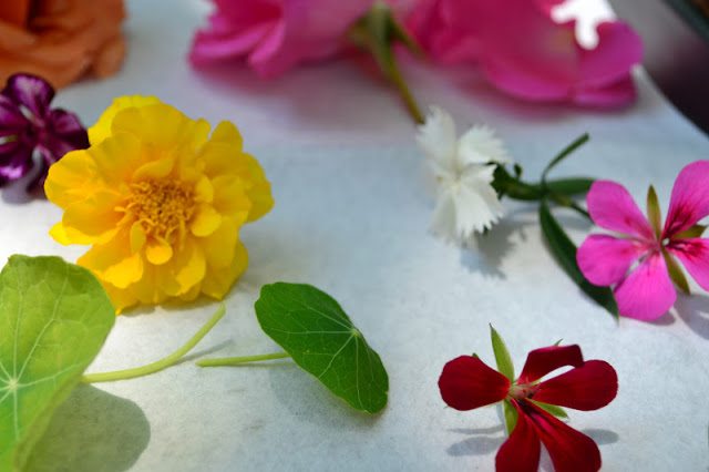 🏅 Como comer flores!