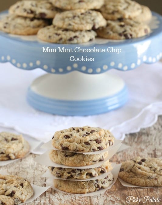 🏅 Mini Cookies de Menta com Chocolate