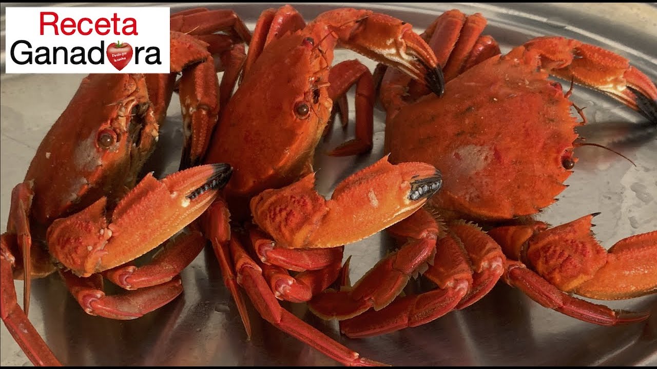 🏅 Cómo hacer necoras: 5 pasos sencillos para una receta deliciosa